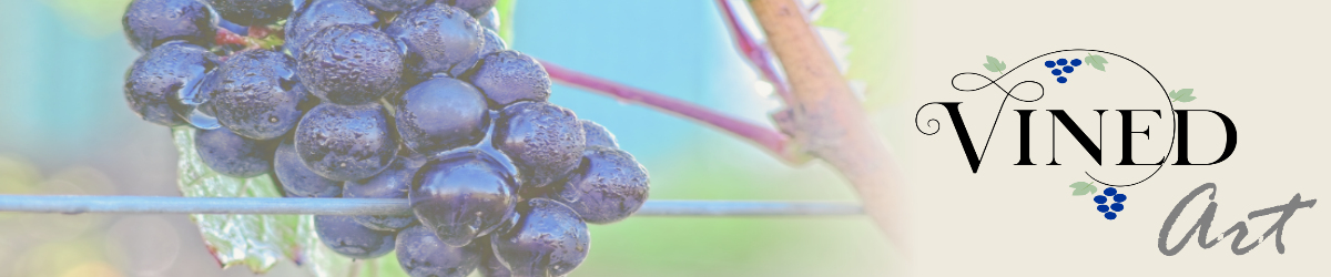 Vined Art - Vined Wine & Art